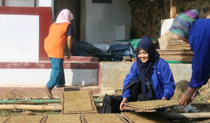 Strategi Petani Tembakau Bertahan di Tengah Pandemi Covid-19 – citrust.id