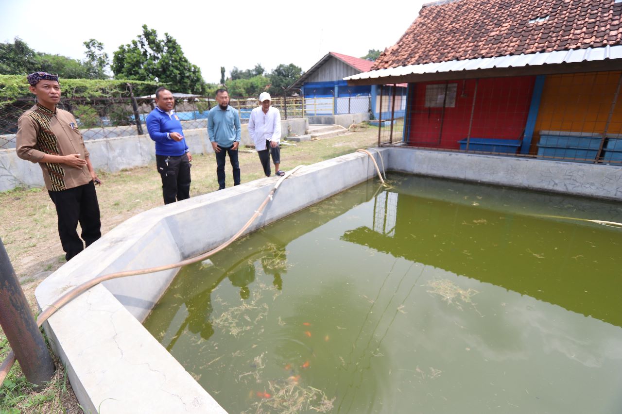 DKPPP Upayakan Bisa Penuhi Kebutuhan Benih Ikan di Kota Cirebon – citrust.id